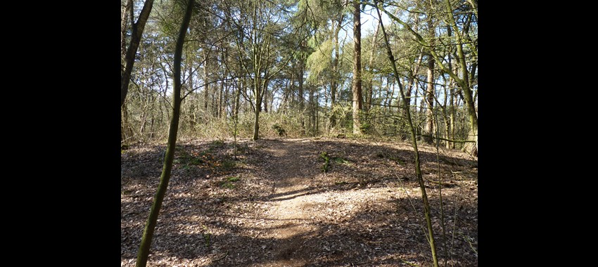 Galgenberg | Mijn Gelderland